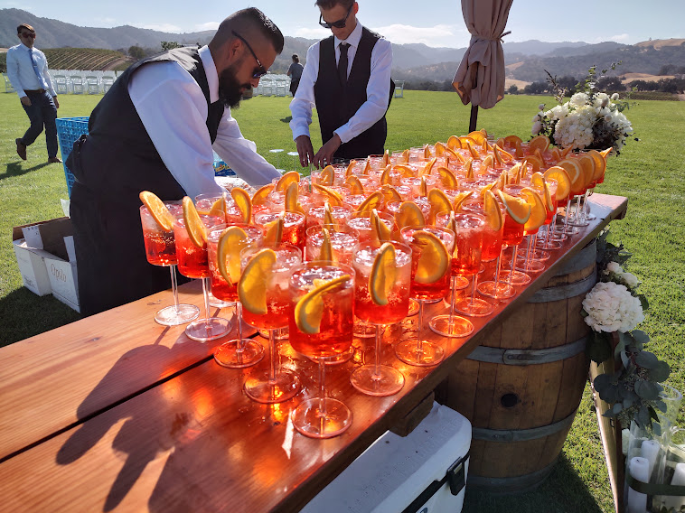 Professional Beverage and Mobile Bartending Services
